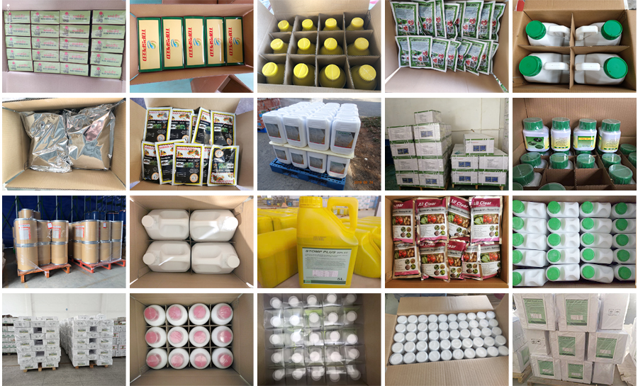 Home - Youge Biotech-Chinese pesticide supplier offering insecticides ...