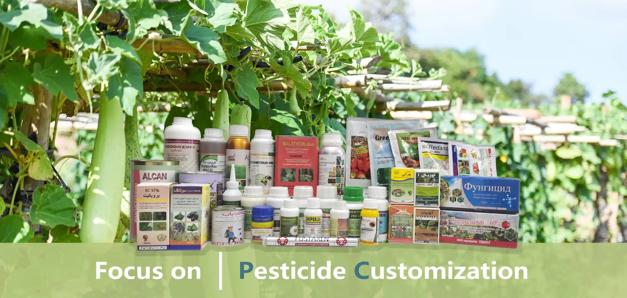 About - Youge Biotech-Chinese pesticide supplier offering insecticides ...